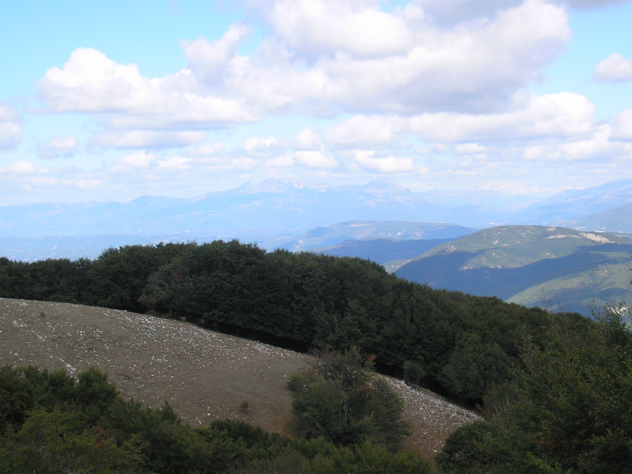 Monte Pellecchia 2012 :: Sentiero Verde